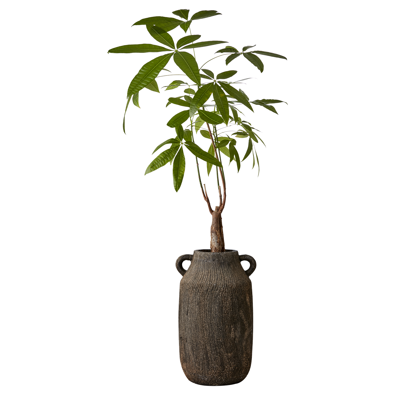 CINO Kruka, Brun | Affari of Sweden