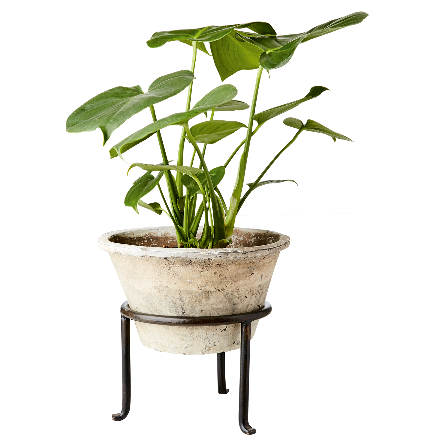 STANLEY Stand, Grey/brown | Affari of Sweden